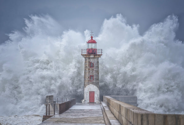 Contact | Delta Harbour Assets